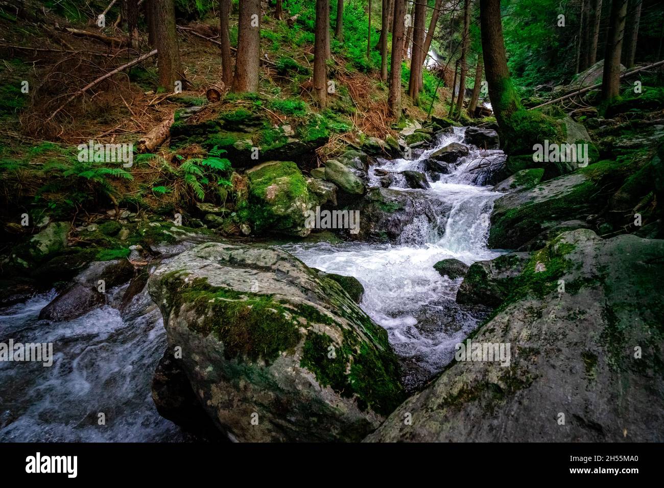 Hiking to the Pojer Waterfalls Ahrntal South Tyrol Italy Stock Photo ...