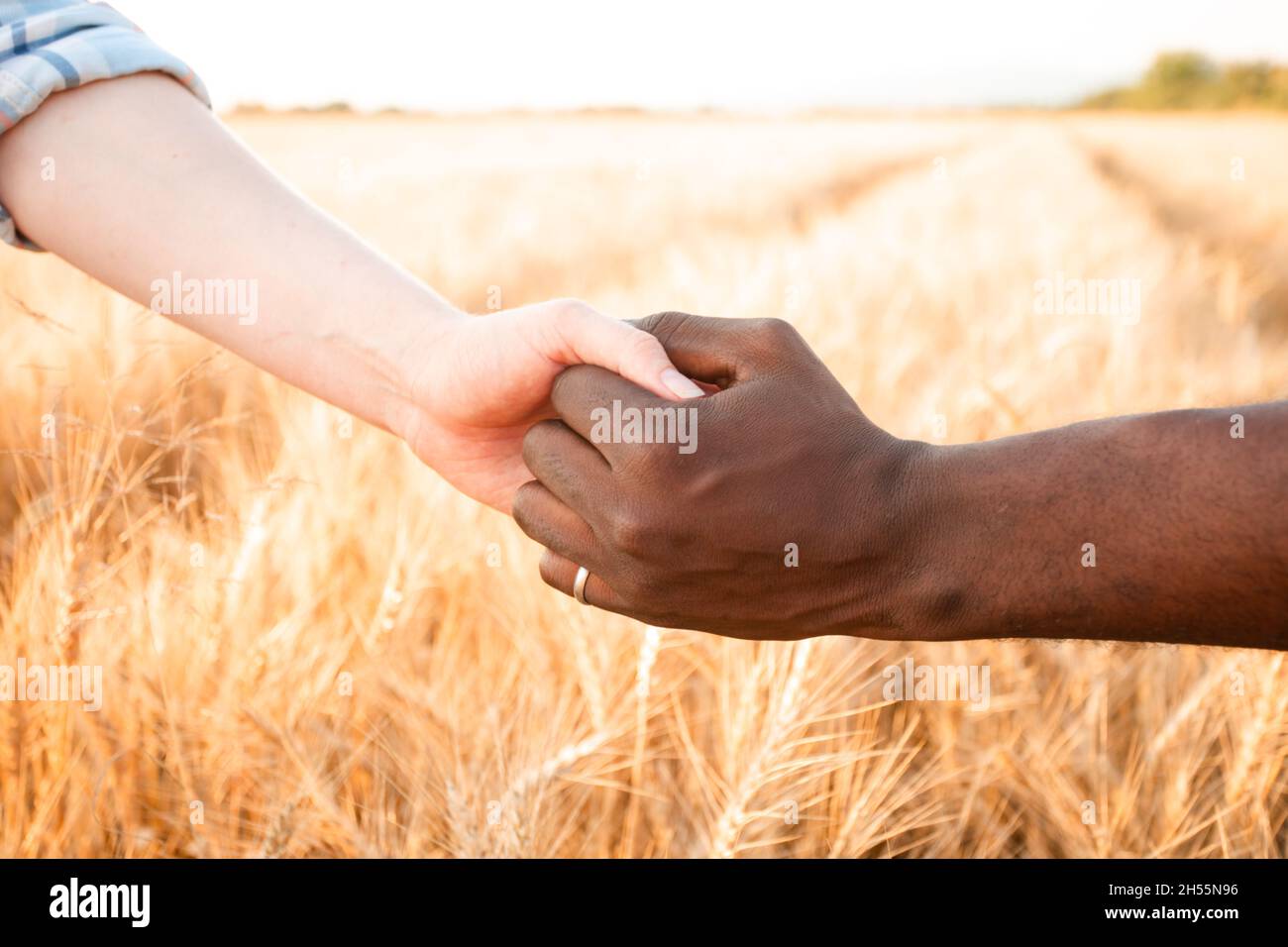 Multiracial relationship and friendsip concept. Two hands holding ...