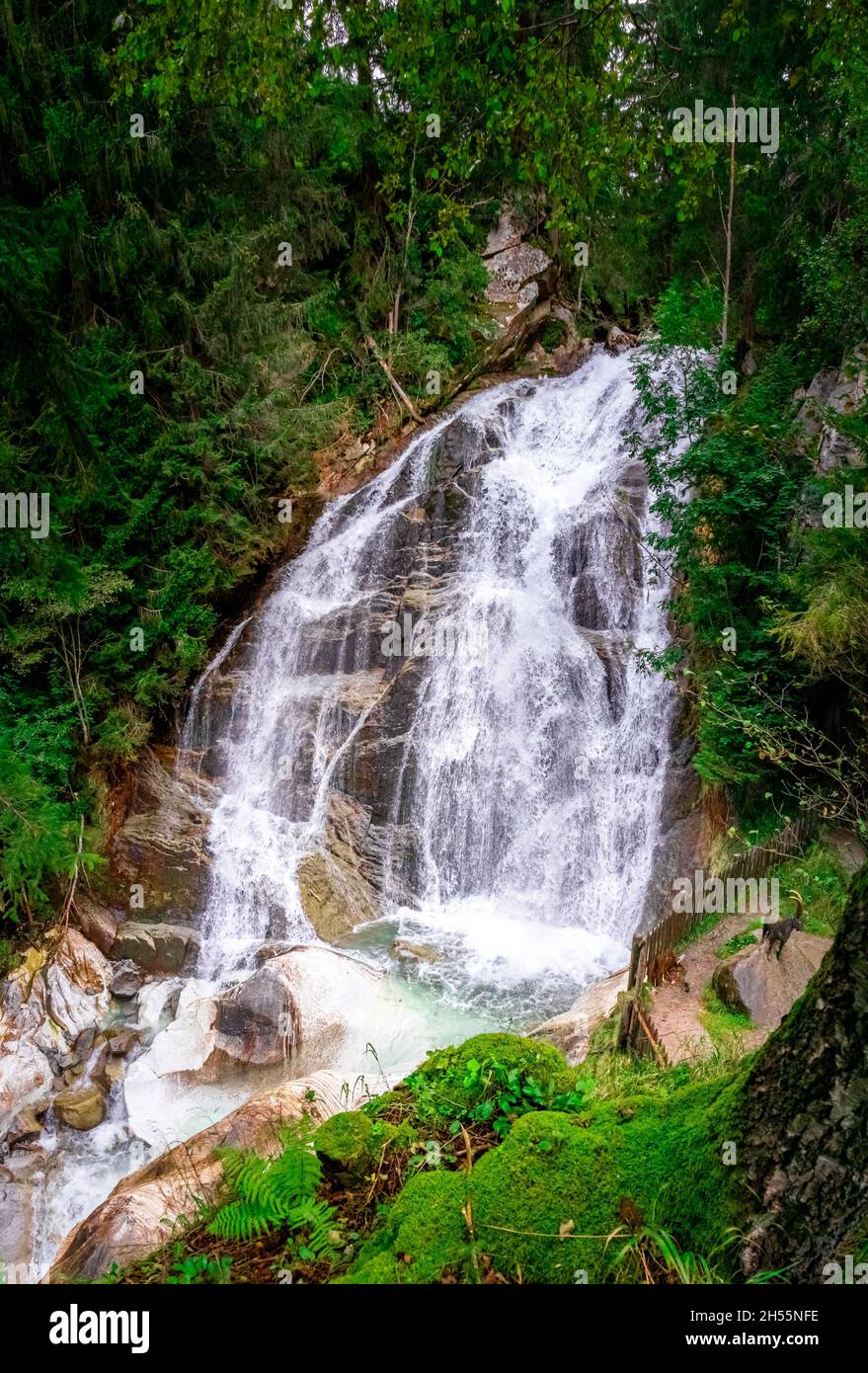 Hiking to the Frankbach Waterfalls Ahrntal South Tyrol Italy Stock ...
