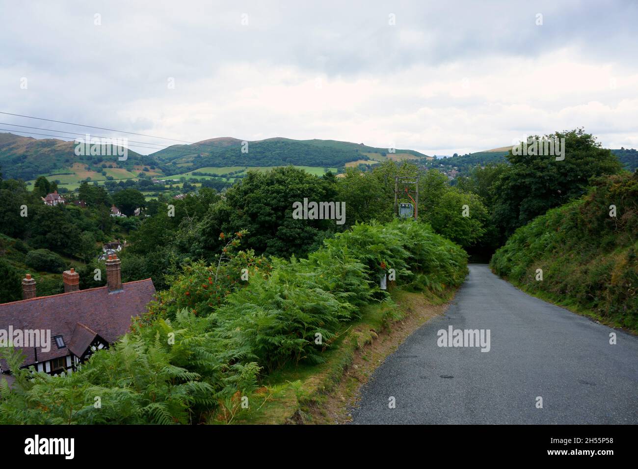 The Burway on The Long Mynd, Church Stretton, Shropshire, England, UK ...