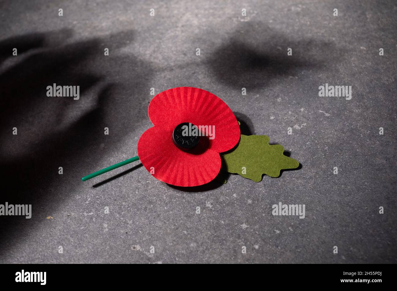 World War remembrance day. Red poppy is symbol of remembrance to those ...