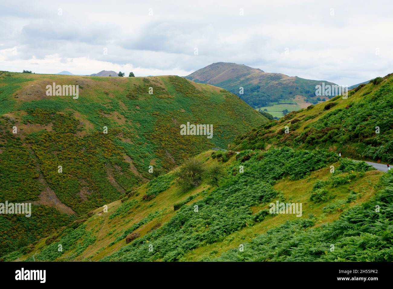 The Long Mynd, Church Stretton, Shropshire, England, UK Stock Photo - Alamy