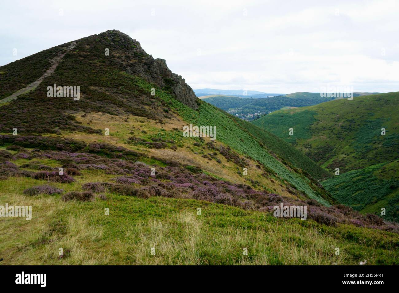The Long Mynd, Church Stretton, Shropshire, England, UK Stock Photo - Alamy
