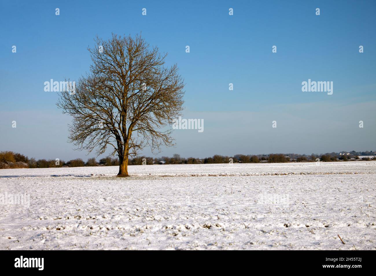 Chilly fields hi-res stock photography and images - Alamy
