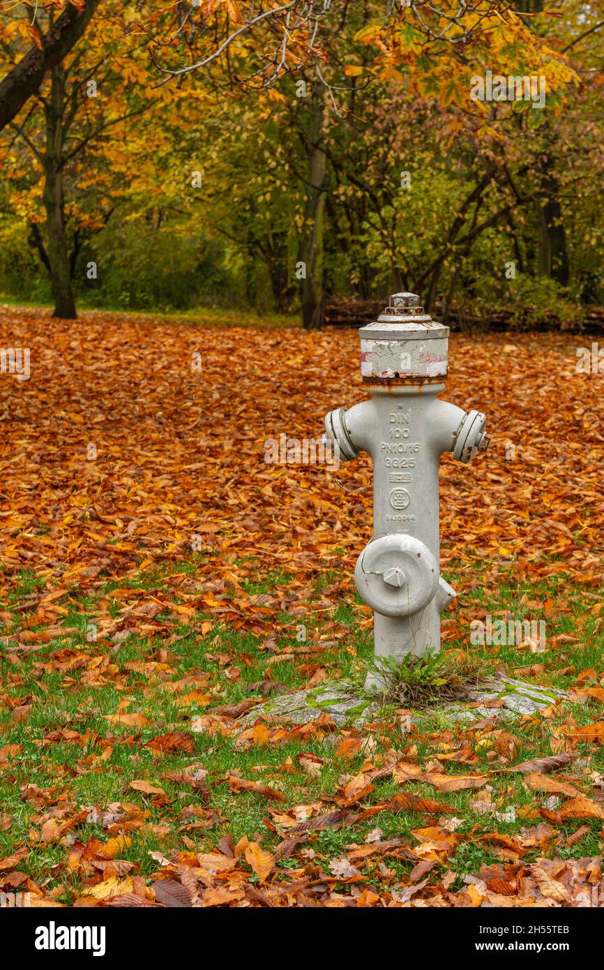 Park hydrant hi-res stock photography and images - Alamy