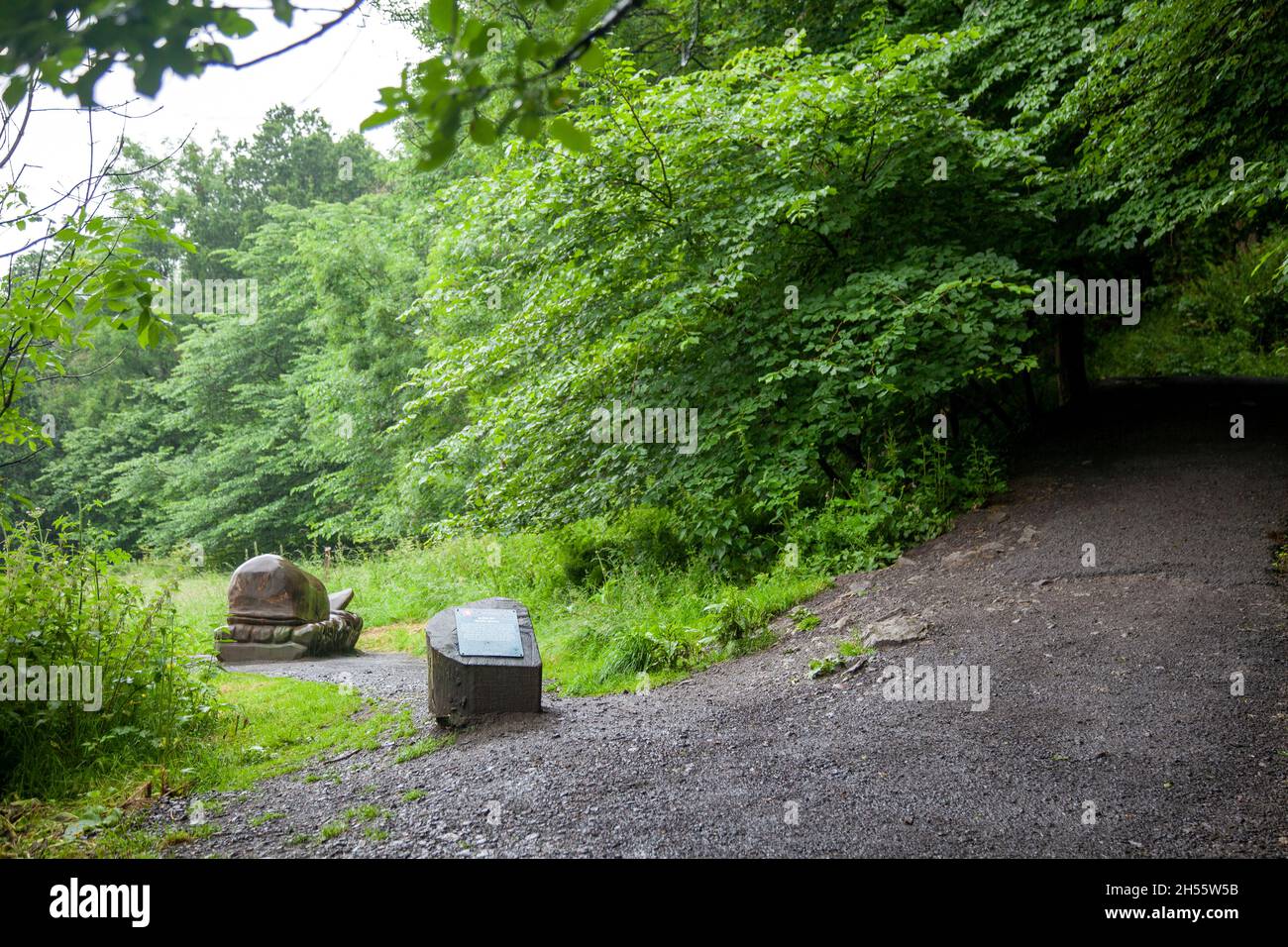 Abbey Craig Woods by National Wallace Monument in Scotland Stock Photo ...