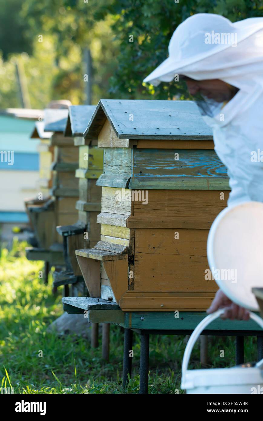 Beekeeping worker in protective uniform hi-res stock photography and ...