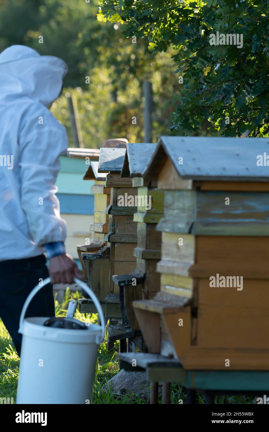 Beekeeping worker in protective uniform hi-res stock photography and ...