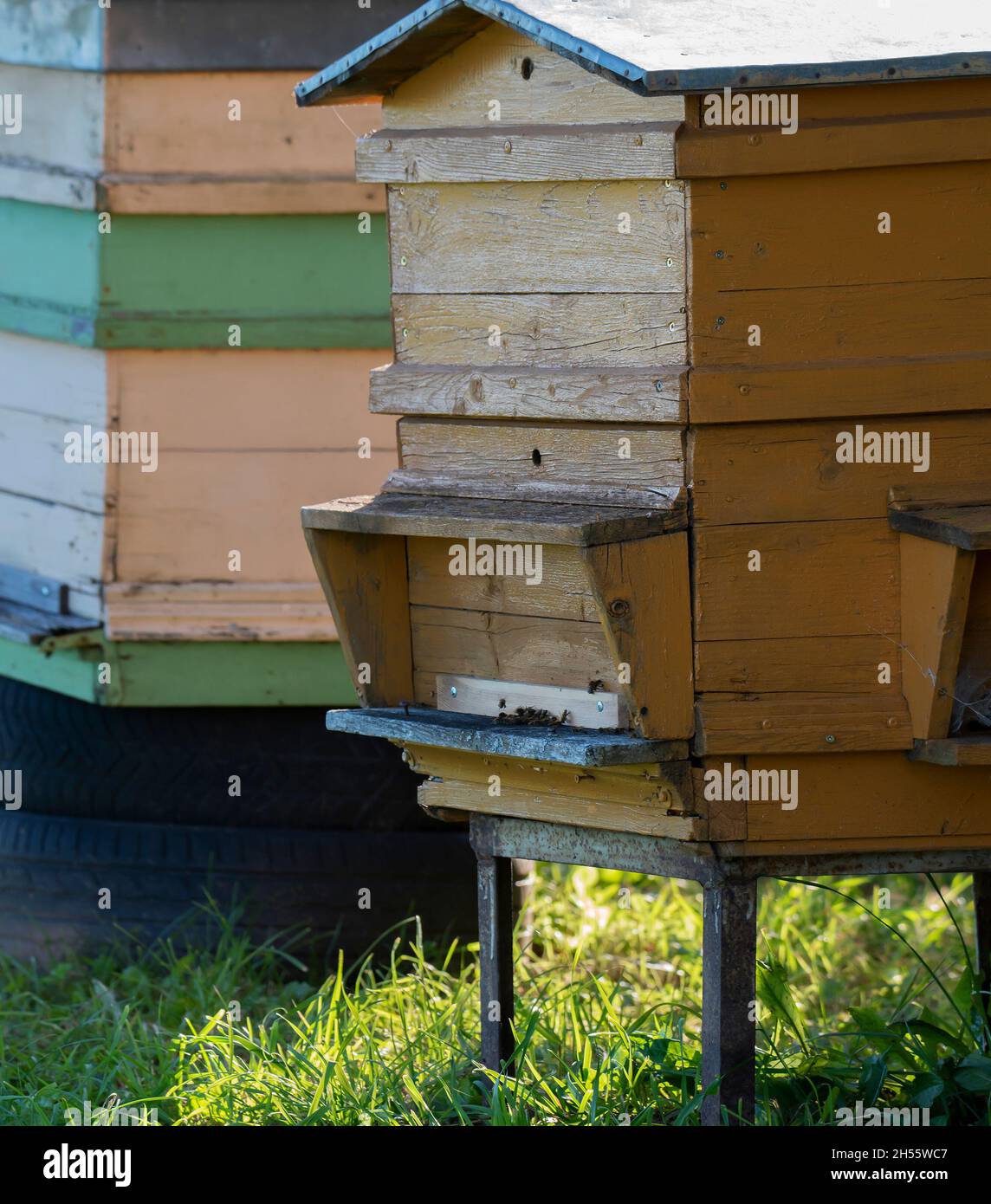 Many bee boxes hi-res stock photography and images - Alamy