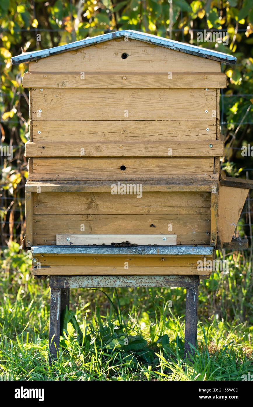 Wooden bee box on countryside Stock Photo - Alamy