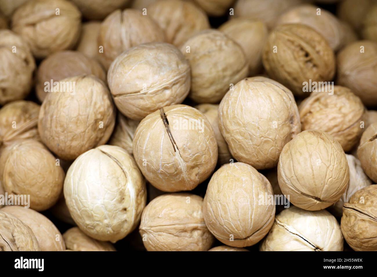 Nuts in shells hi-res stock photography and images - Alamy