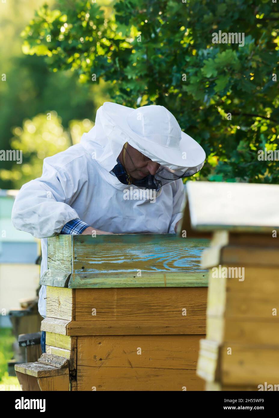 Man beekeeper in uniform working hi-res stock photography and images ...