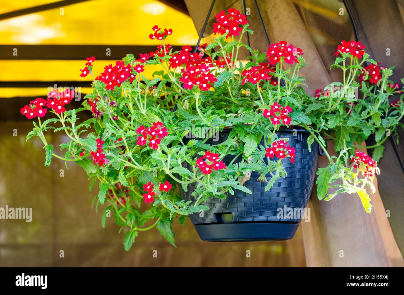 Ampel design hi-res stock photography and images - Alamy