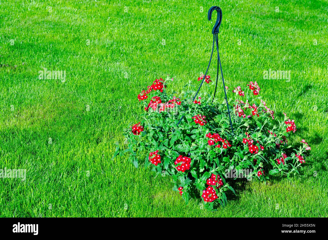 Ampel design hi-res stock photography and images - Alamy