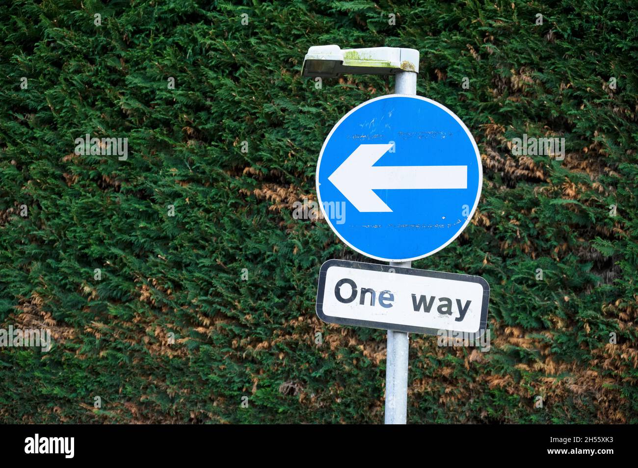 One way directional arrow sign against white wall background Stock ...