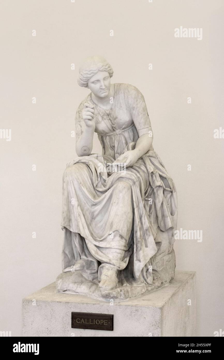 Calliope calliope hi-res stock photography and images - Alamy