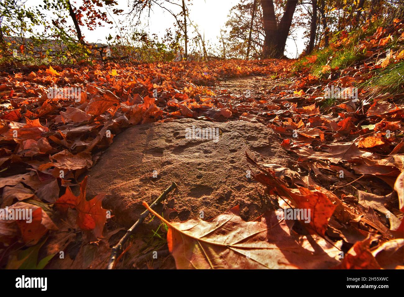 Sandstone trail hi-res stock photography and images - Alamy