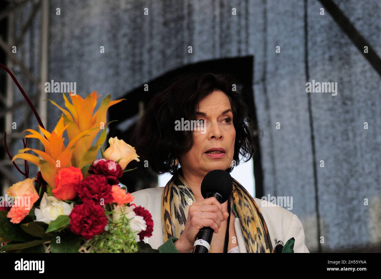 Bianca jagger vienna hi-res stock photography and images - Alamy
