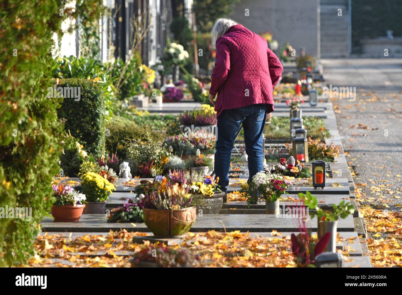 Gräber auf dem Friedhof Wels im Herbst, Österreich, Europa - Graves in the cemetery Wels in ...