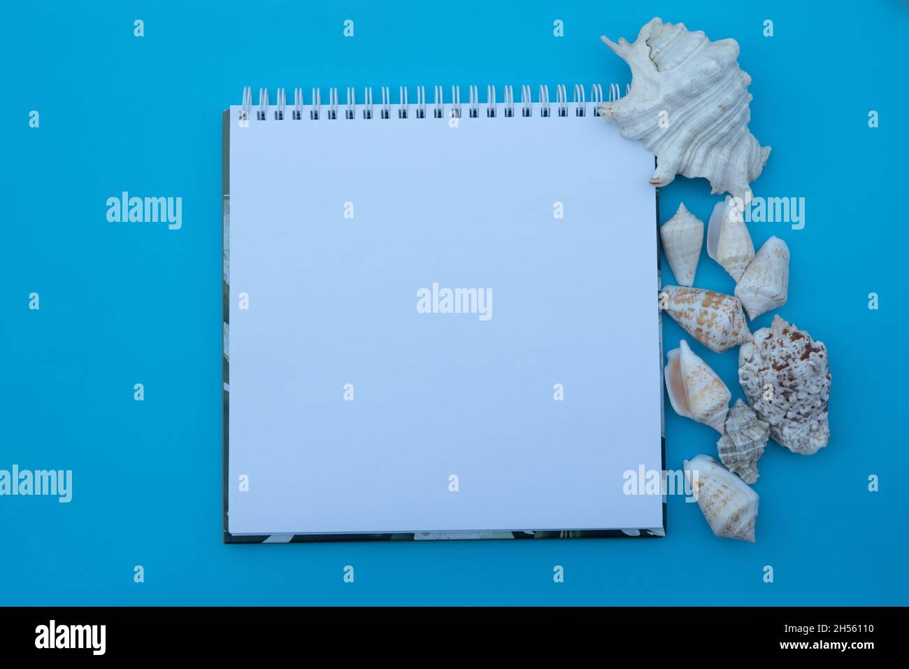 Wood Blocks on Light Blue Table with Sea Shells, Starfish, Beach Hat ...