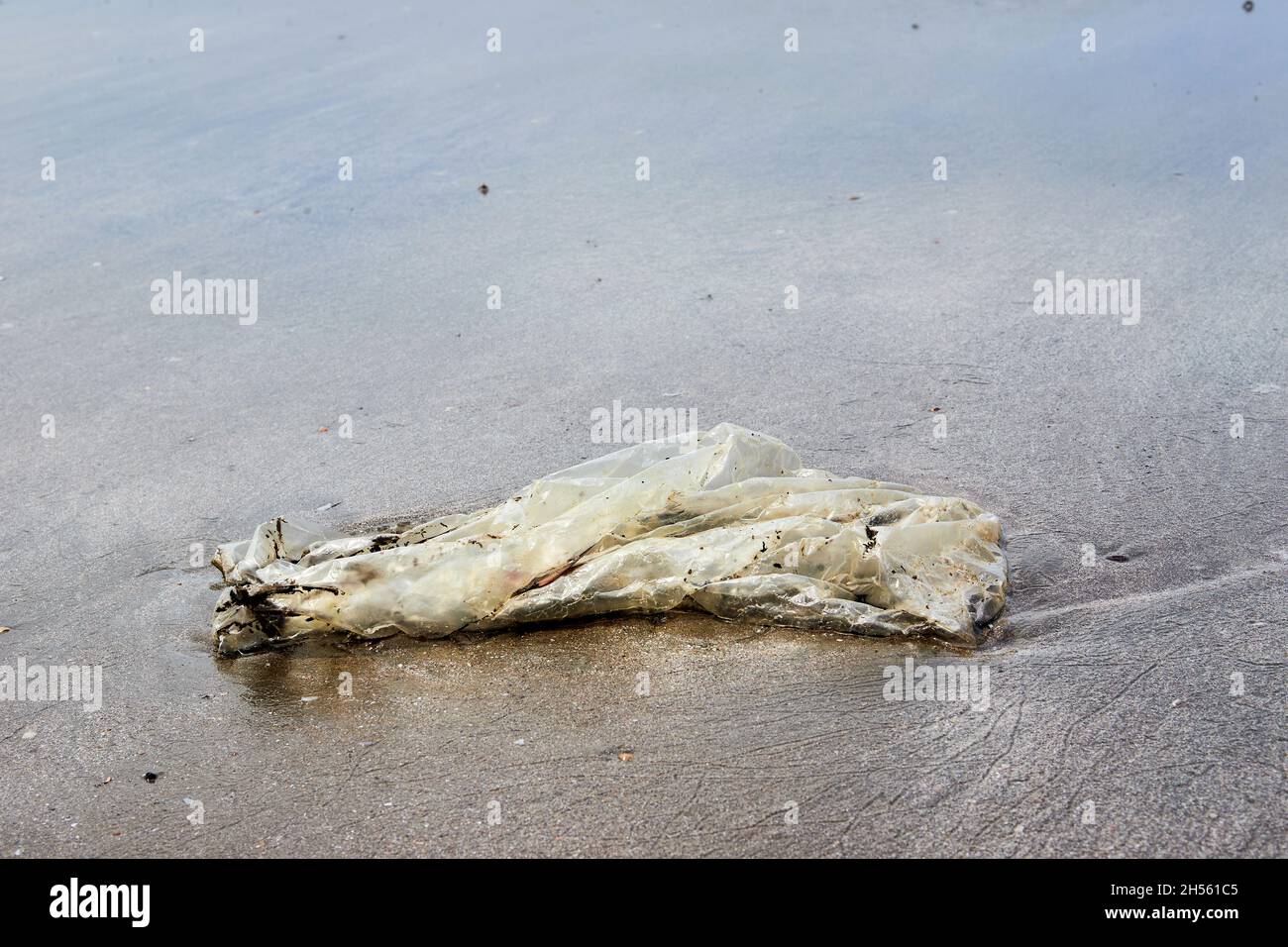 Sea gabage hi-res stock photography and images - Alamy