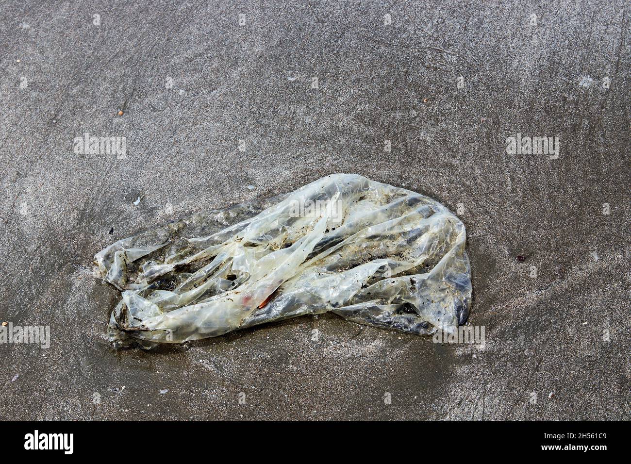 Gabage and plastic on the beach Stock Photo - Alamy