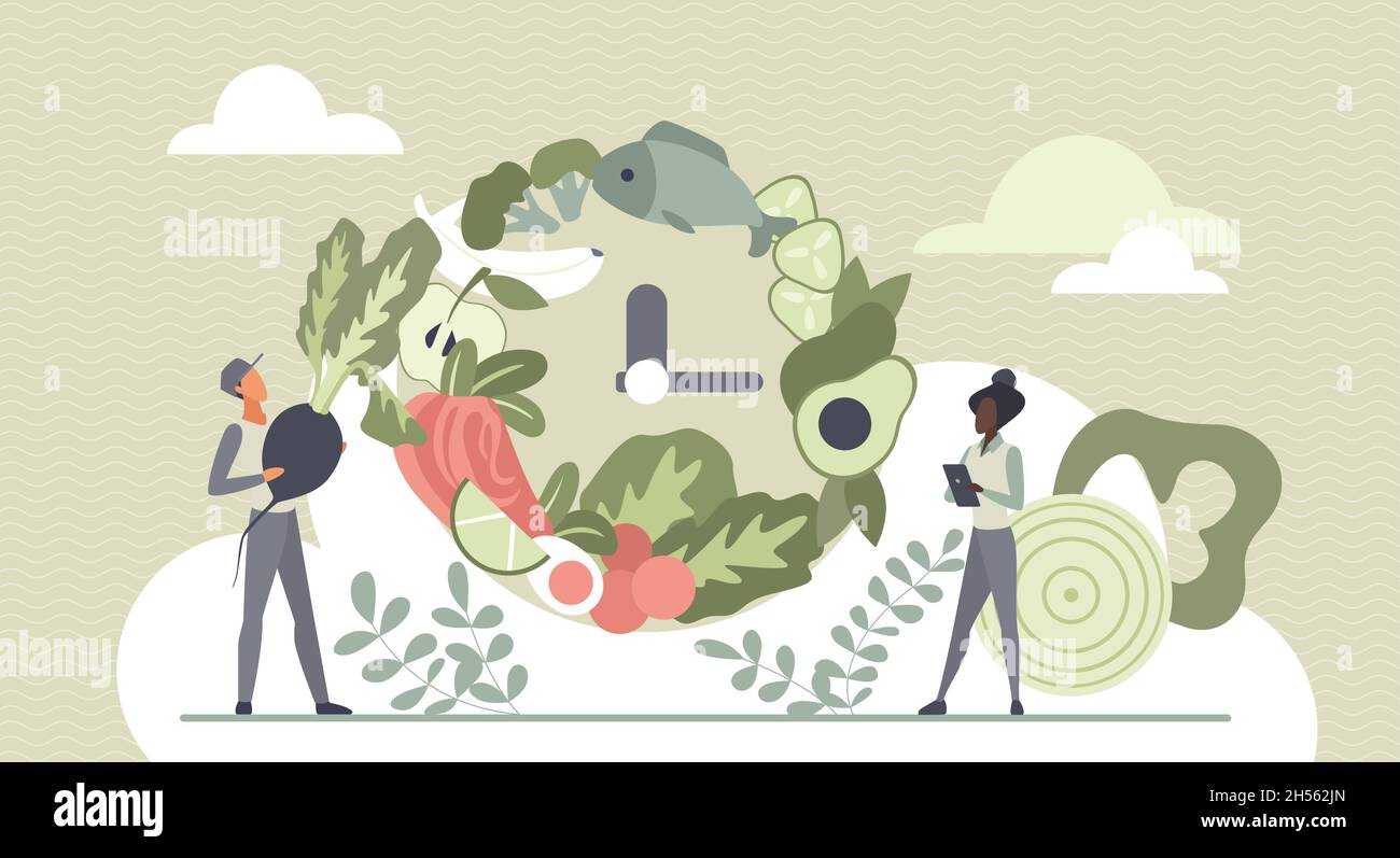 Meal schedule for balanced diet vector illustration. Cartoon tiny ...