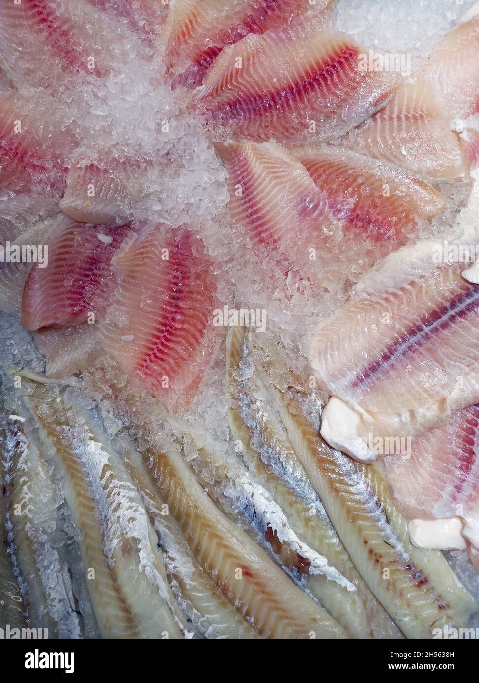 Food and seafood. Fresh sea fish on the counter of the supermarket lies ...
