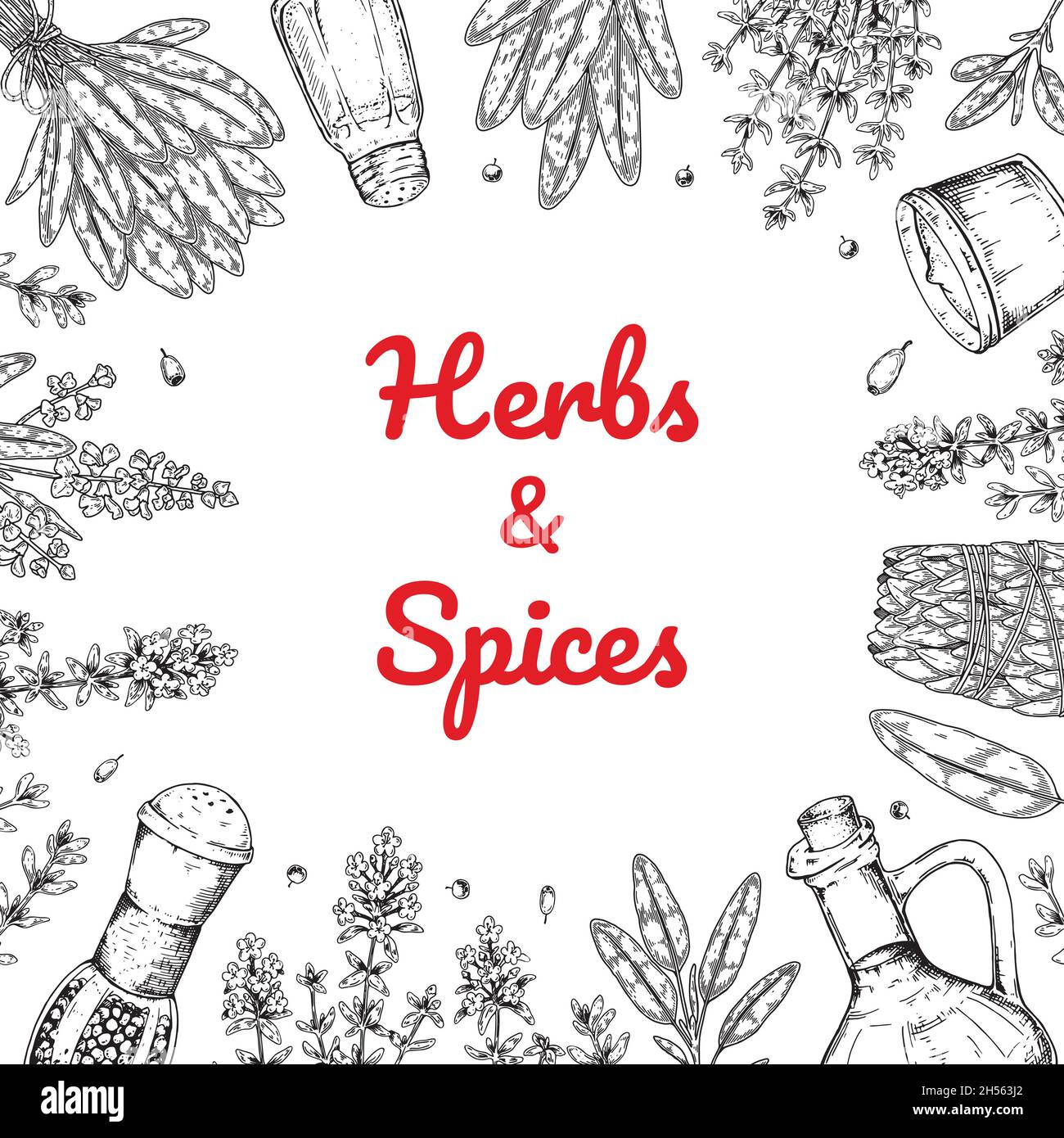 Hand drawn herbs and spices design. Vector illustration in sketch style ...