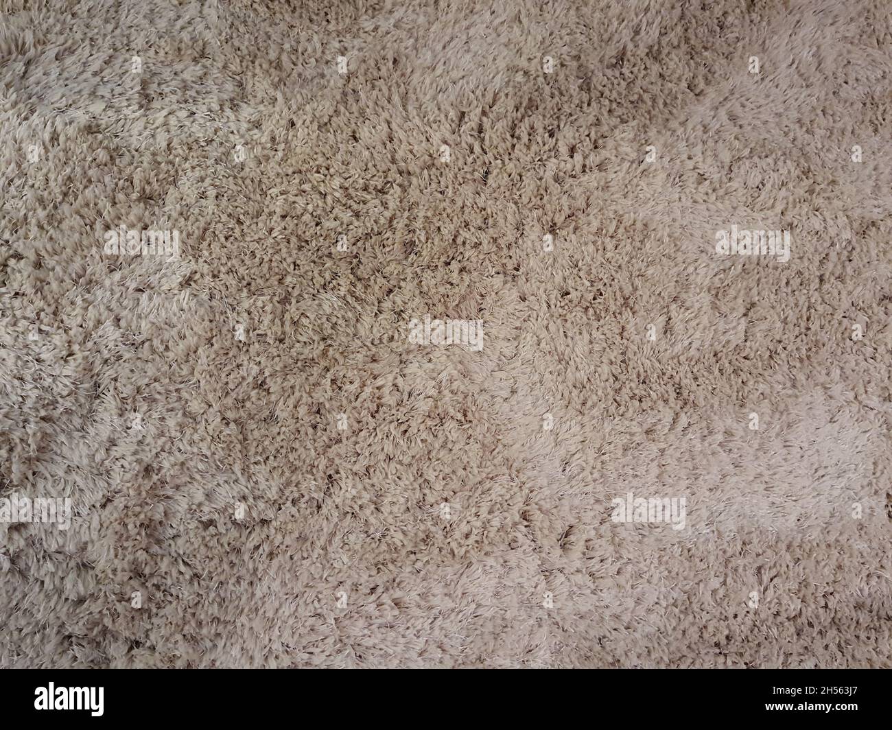 Gray gradient carpet texture closeup. Top view, full screen Stock Photo ...
