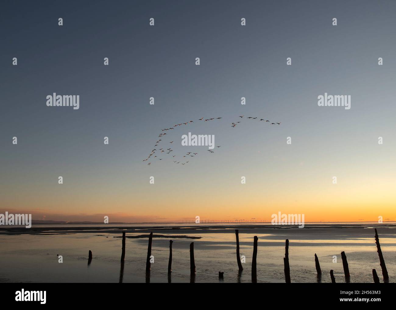 Mersehead rspb reserve hi-res stock photography and images - Alamy