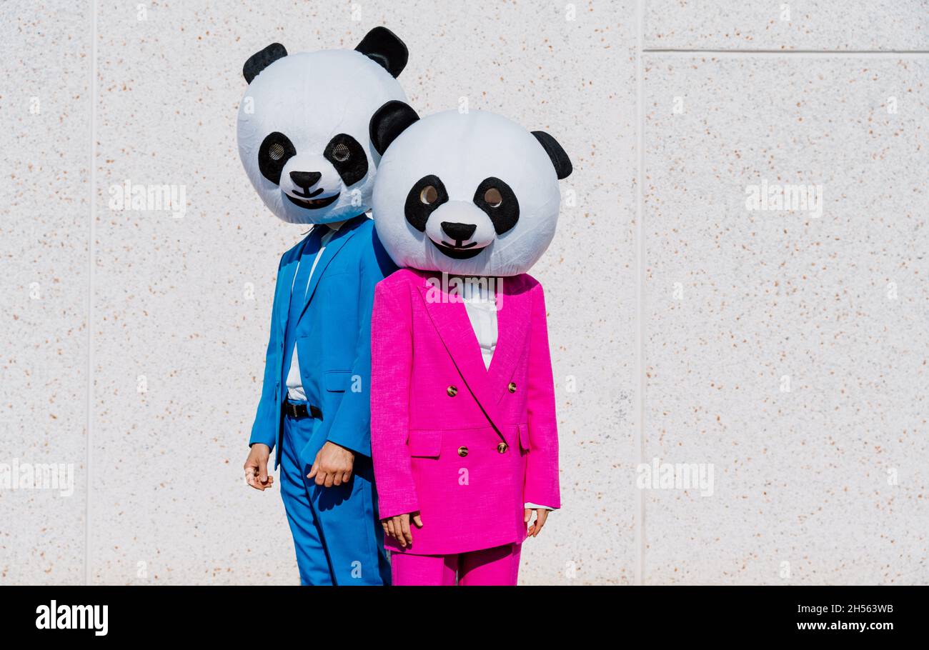 Panda Bear Head Costume