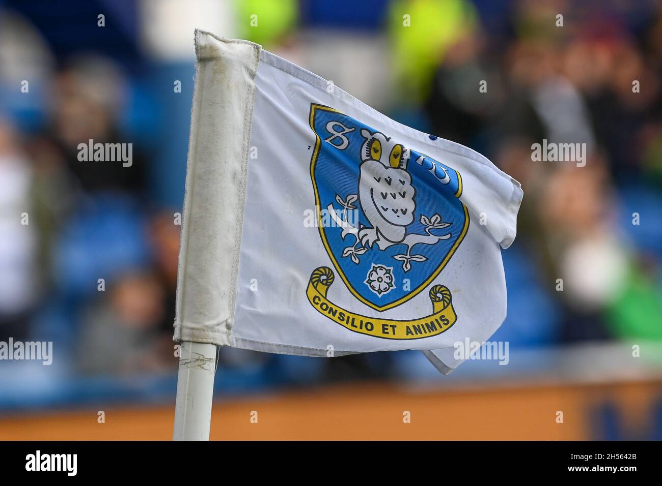 Sheffield wednesday flag hi-res stock photography and images - Alamy