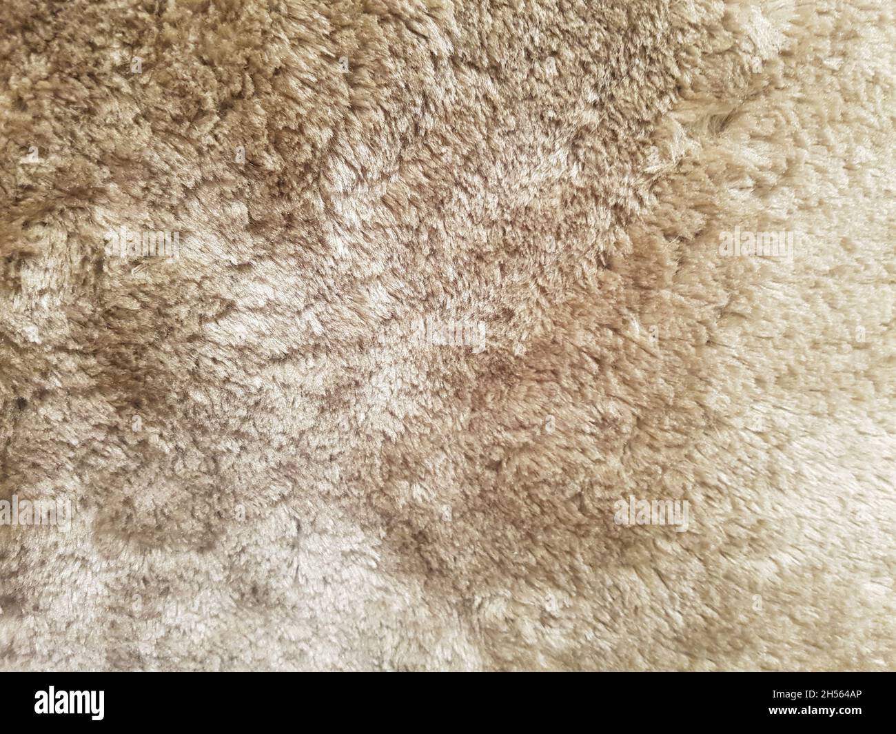 Gray gradient carpet texture closeup. Top view, full screen Stock Photo ...