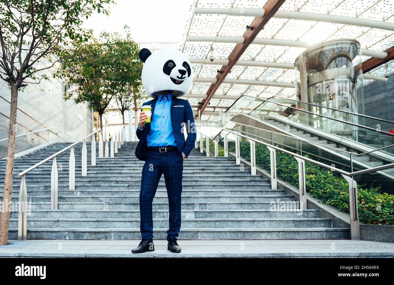 Storytelling image of a business man wearing a giant panda head Stock ...