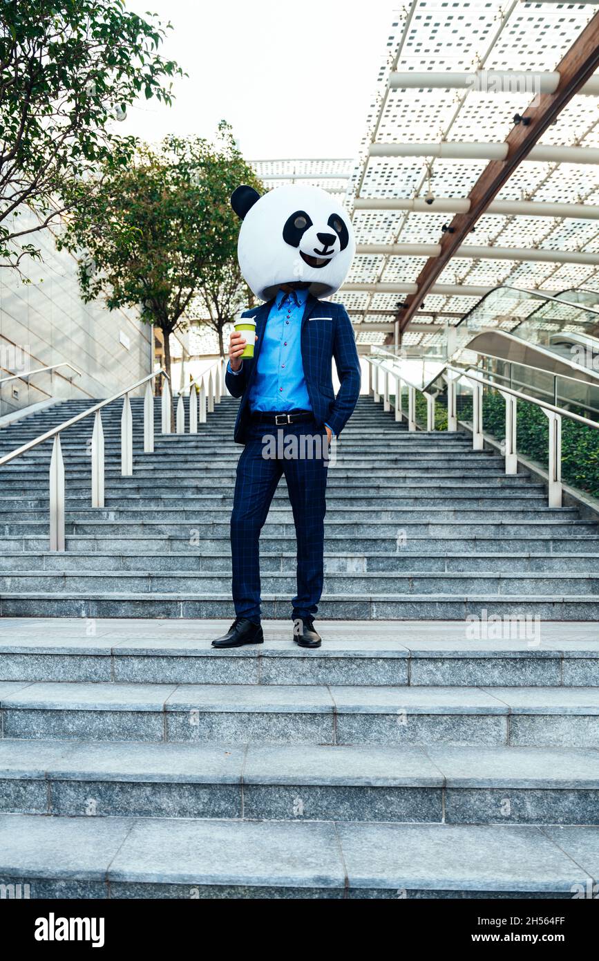 Storytelling image of a business man wearing a giant panda head Stock ...