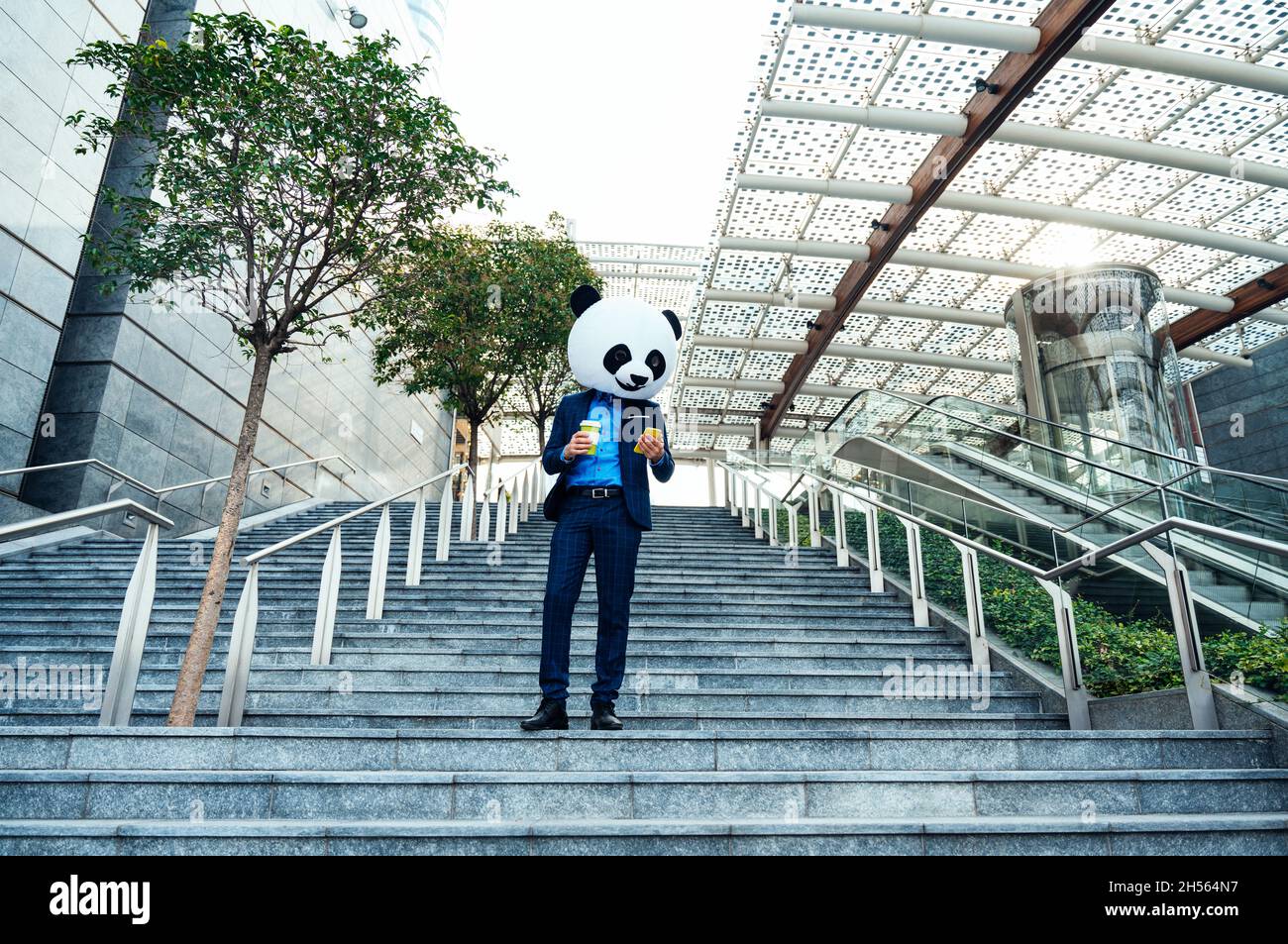 Storytelling image of a business man wearing a giant panda head Stock ...