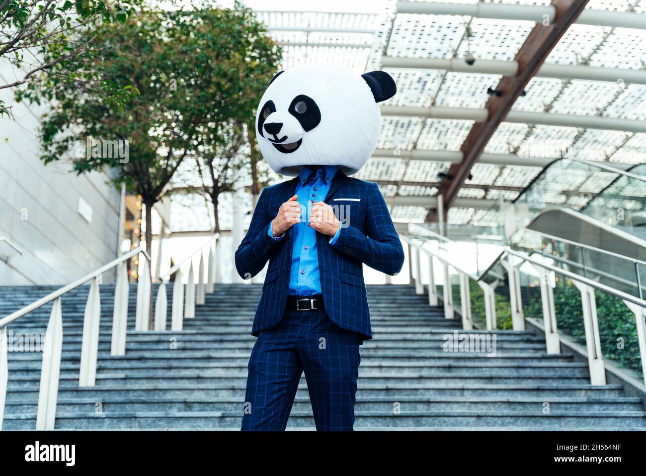 Storytelling image of a business man wearing a giant panda head Stock ...