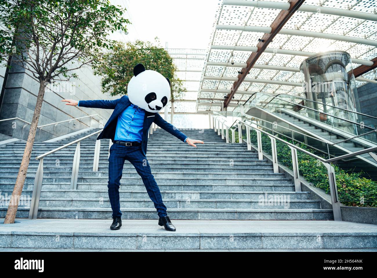 Storytelling image of a business man wearing a giant panda head Stock ...