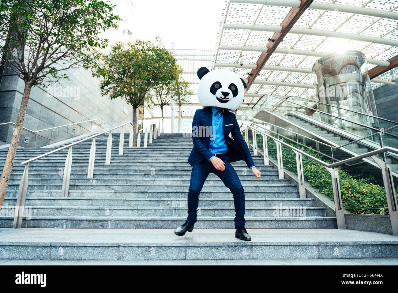 Storytelling image of a business man wearing a giant panda head Stock ...