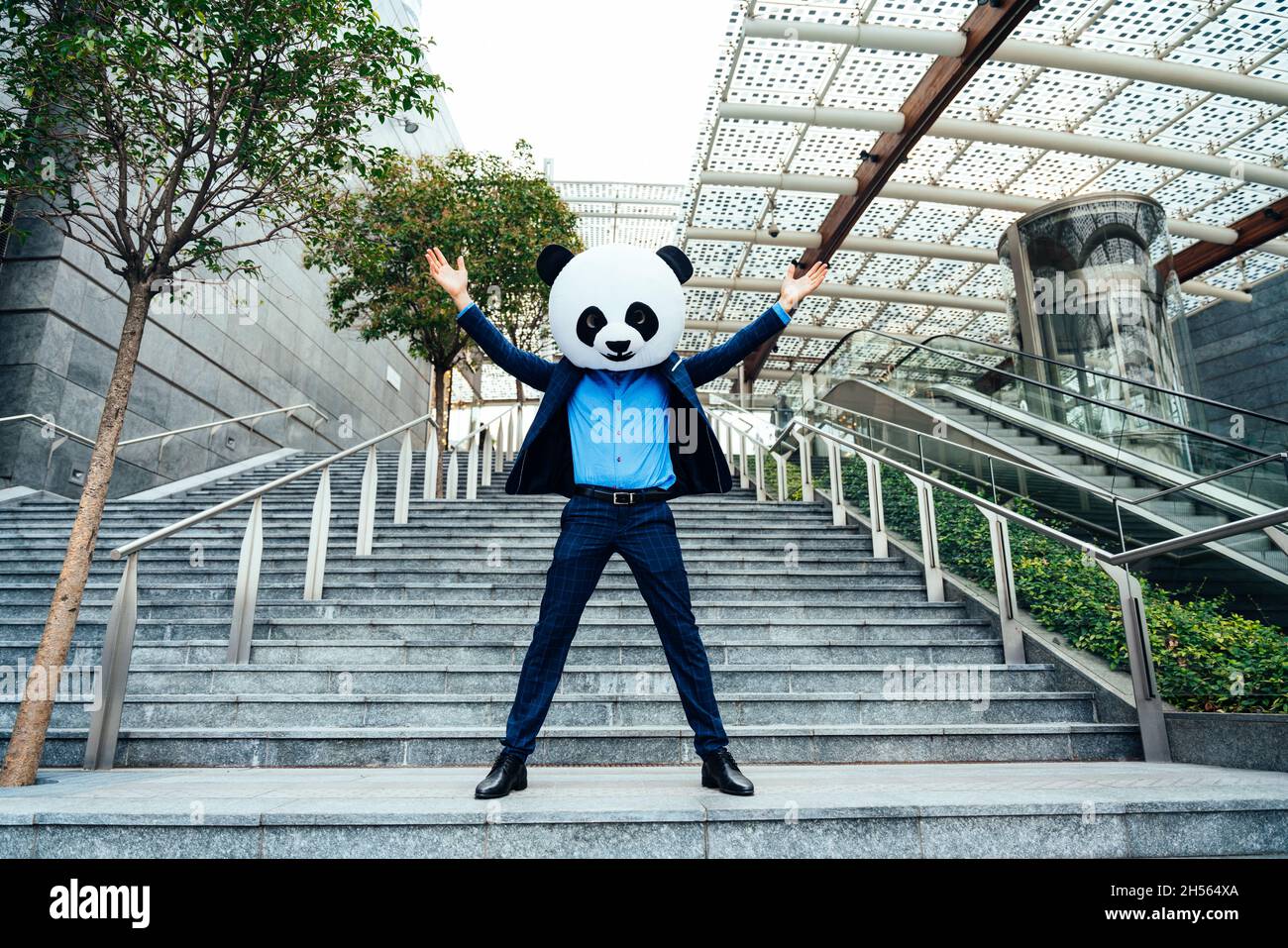Storytelling image of a business man wearing a giant panda head Stock ...