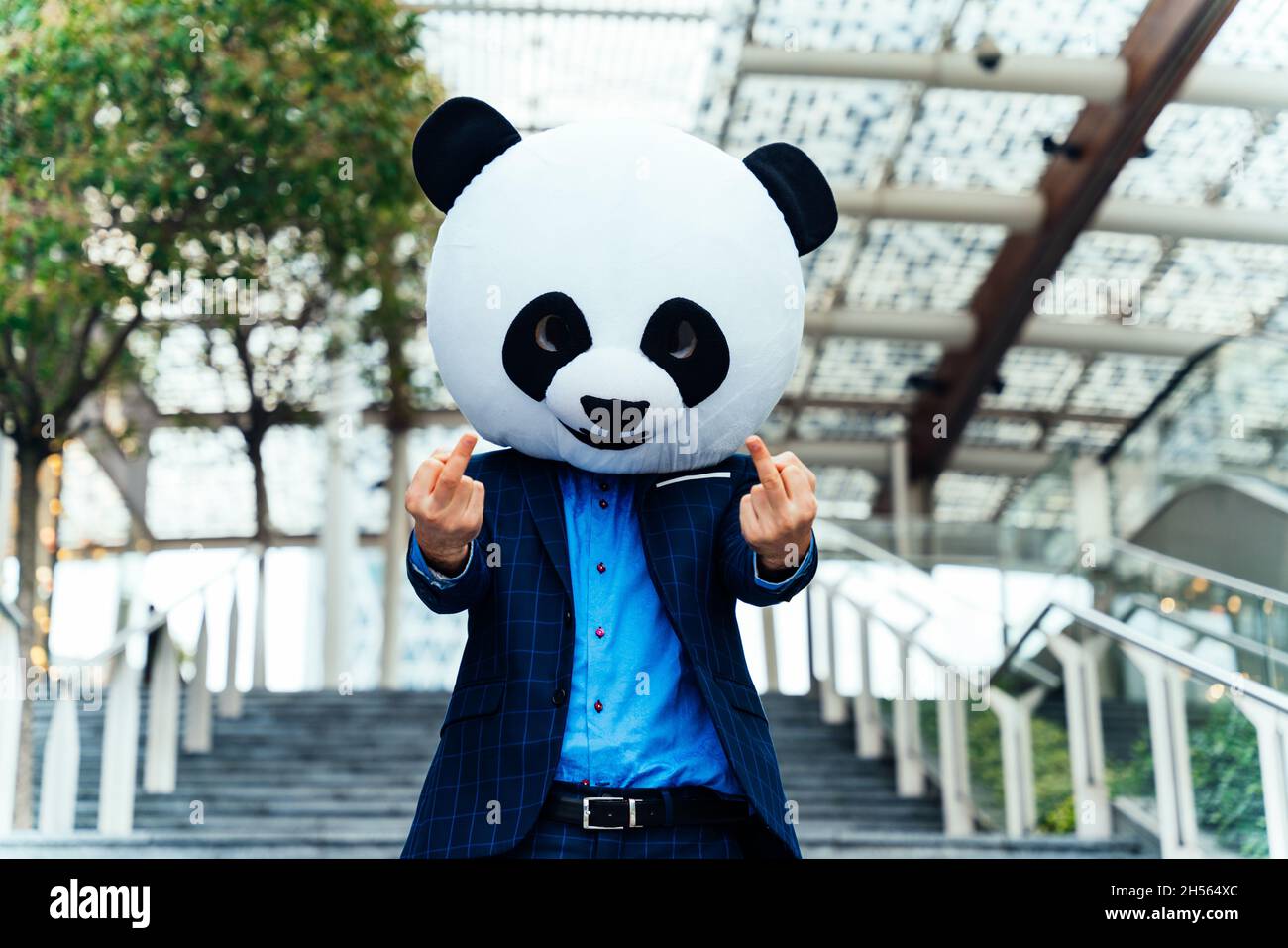 Storytelling image of a business man wearing a giant panda head Stock ...