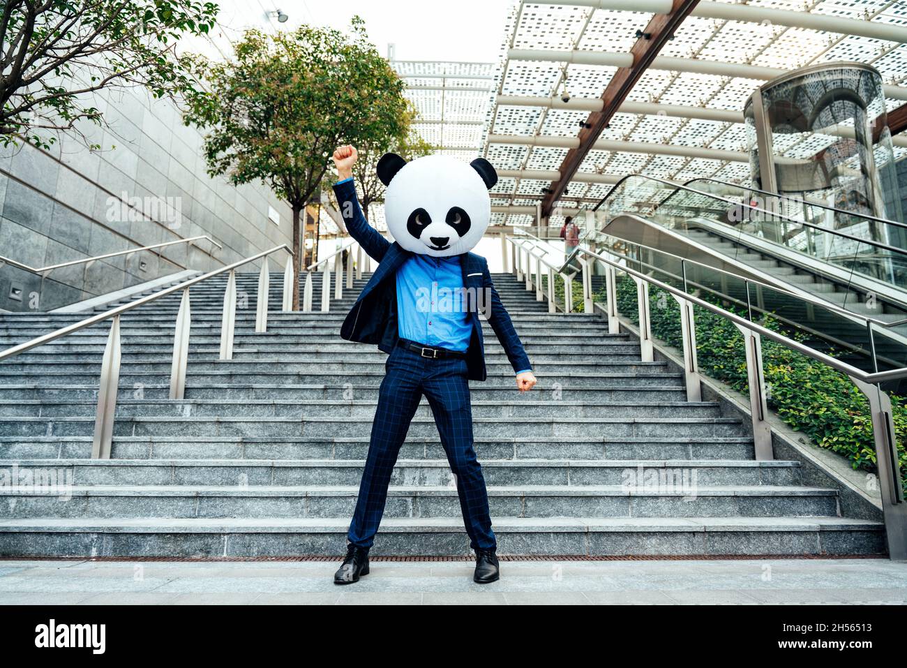 Storytelling image of a business man wearing a giant panda head Stock ...