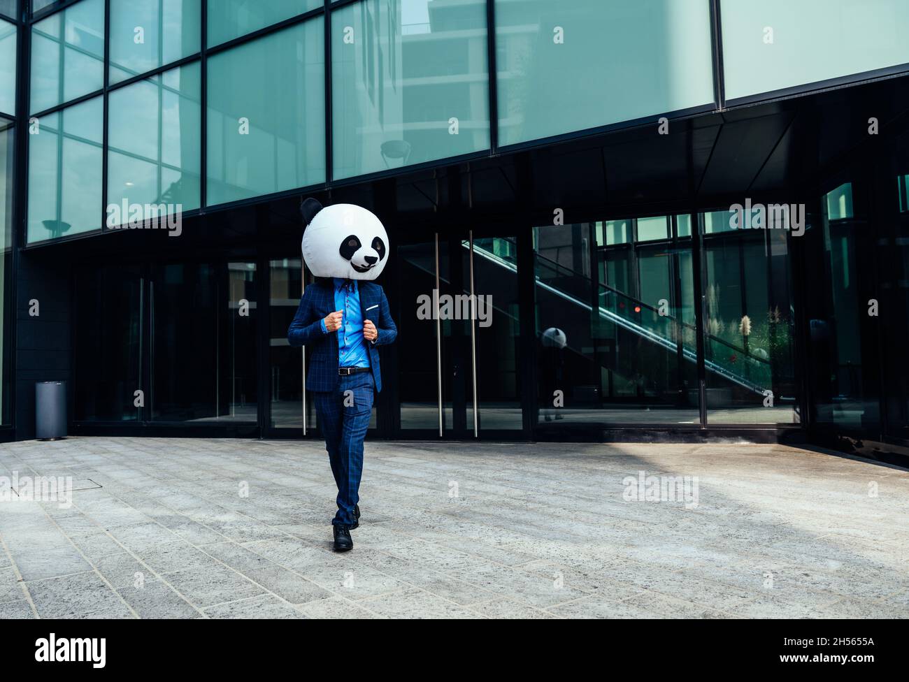 Storytelling image of a business man wearing a giant panda head Stock ...