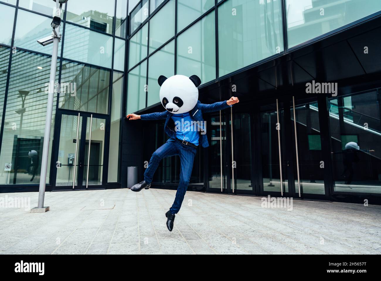 Storytelling image of a business man wearing a giant panda head Stock ...