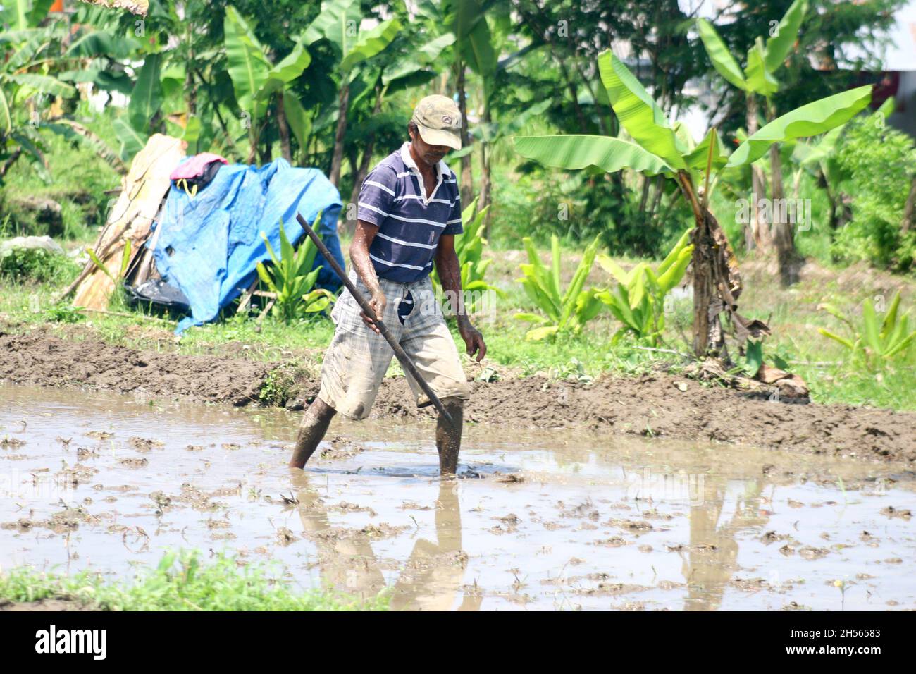 Farmer is working hi-res stock photography and images - Alamy