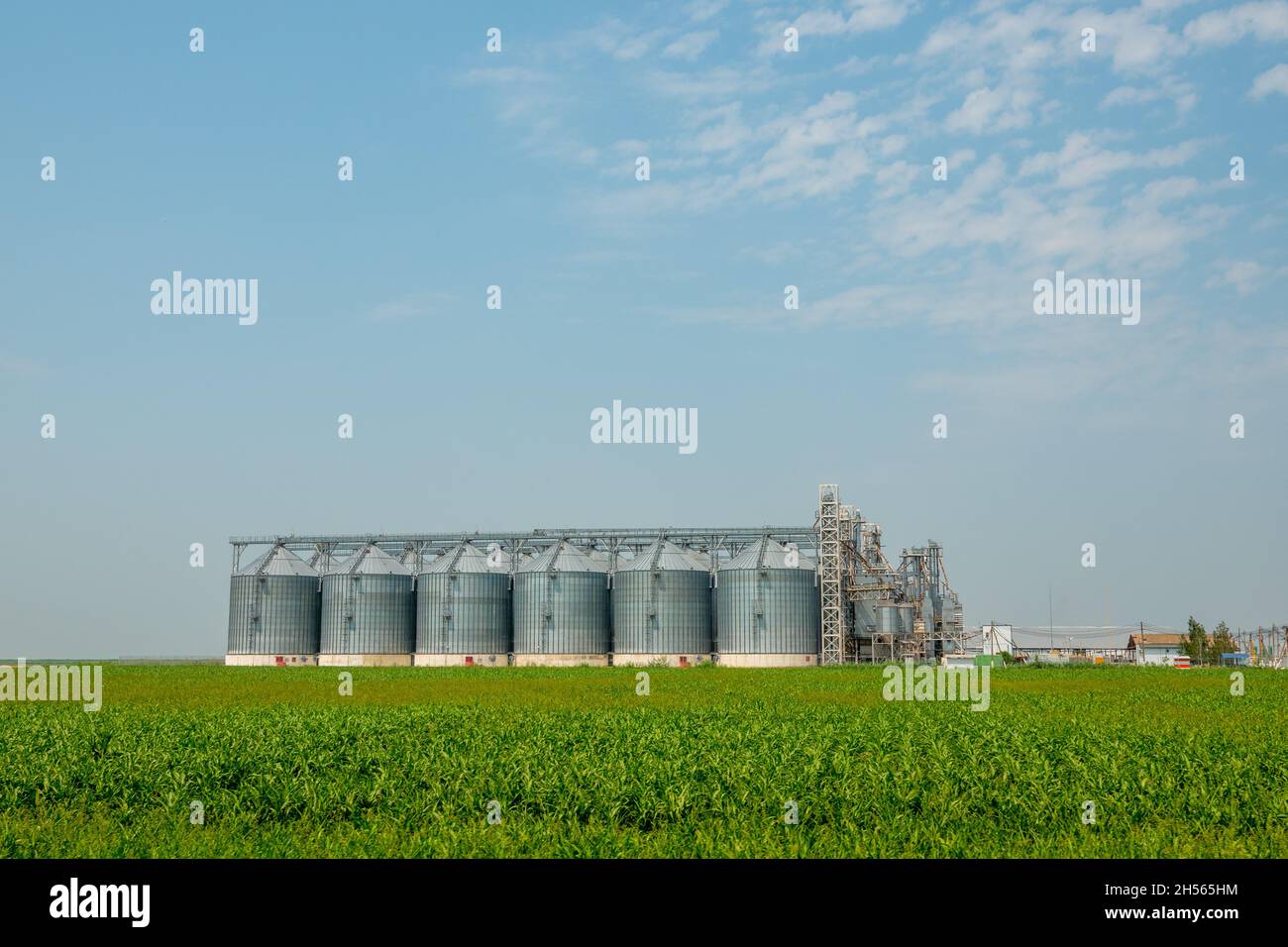 Silos in a barley field. Storage of agricultural production Stock Photo ...