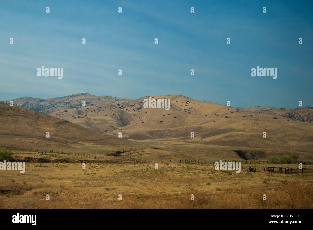 Shrubland hi-res stock photography and images - Alamy