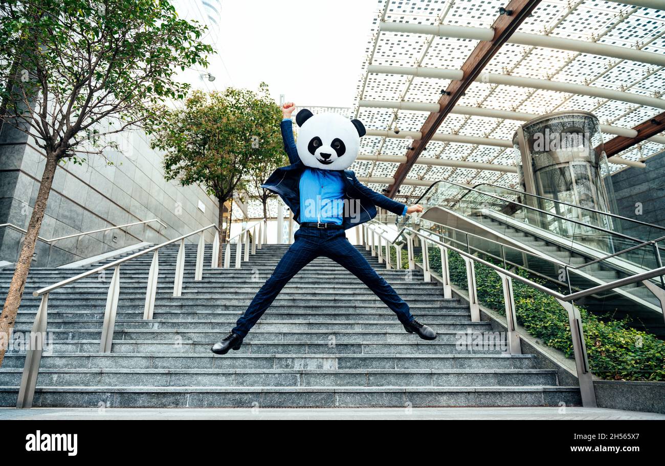 Storytelling image of a business man wearing a giant panda head Stock ...