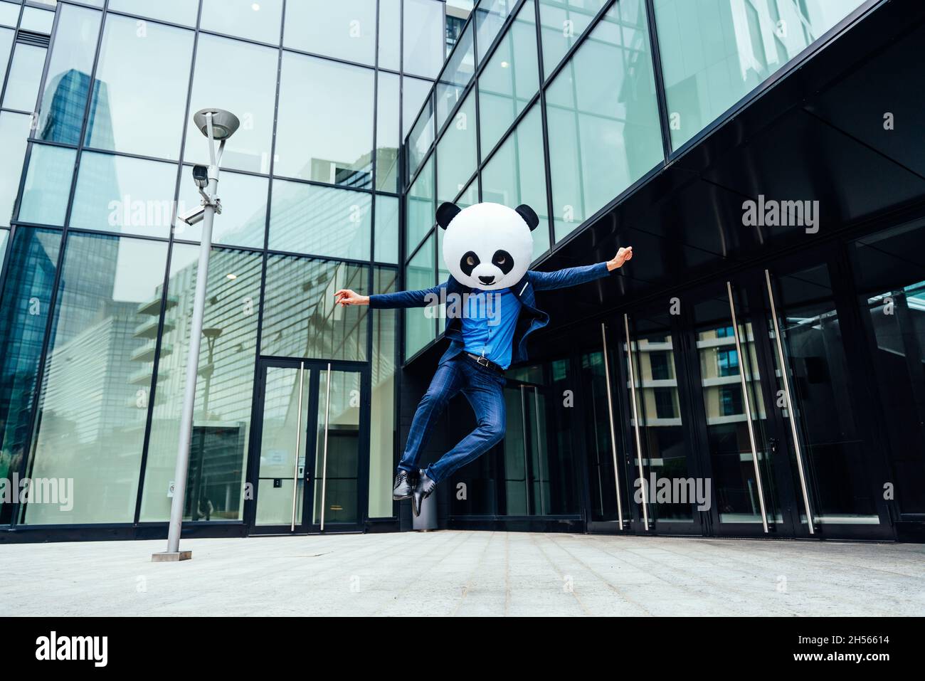 Storytelling image of a business man wearing a giant panda head Stock ...